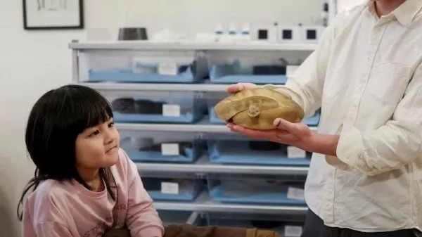 Trải nghiệm uống cà phê bên những con rắn hiền lành nhân dịp năm Ất Tỵ ...